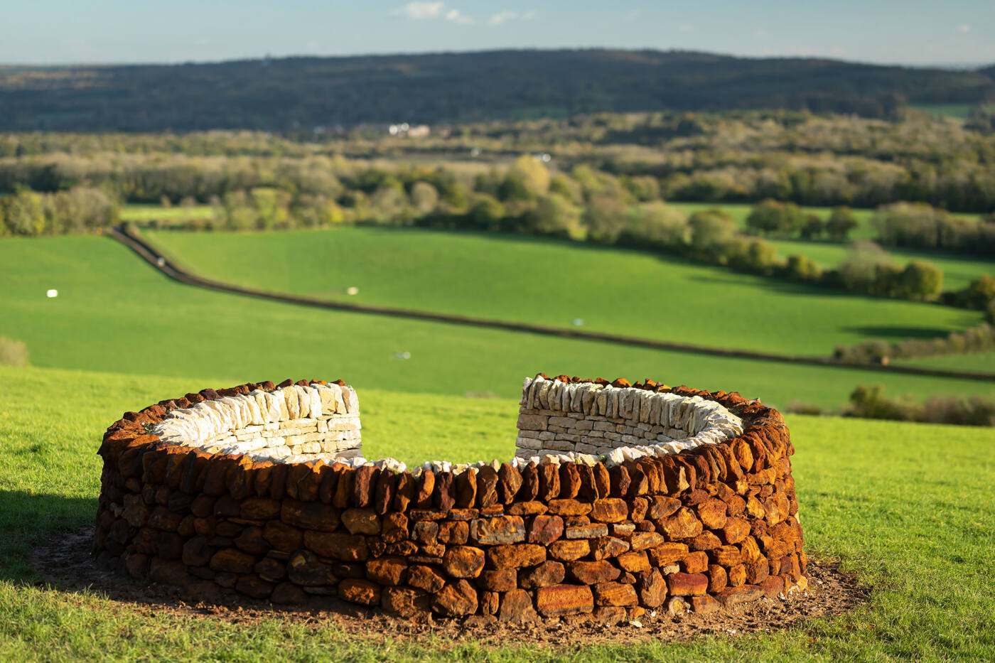 Coccolith - Surrey Hills Arts