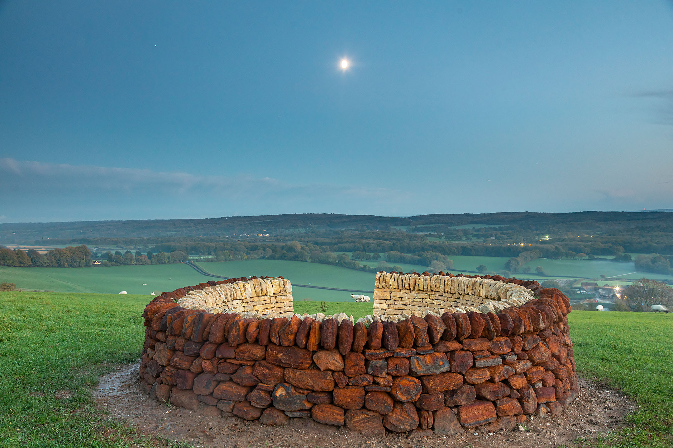 Coccolith - Surrey Hills Arts