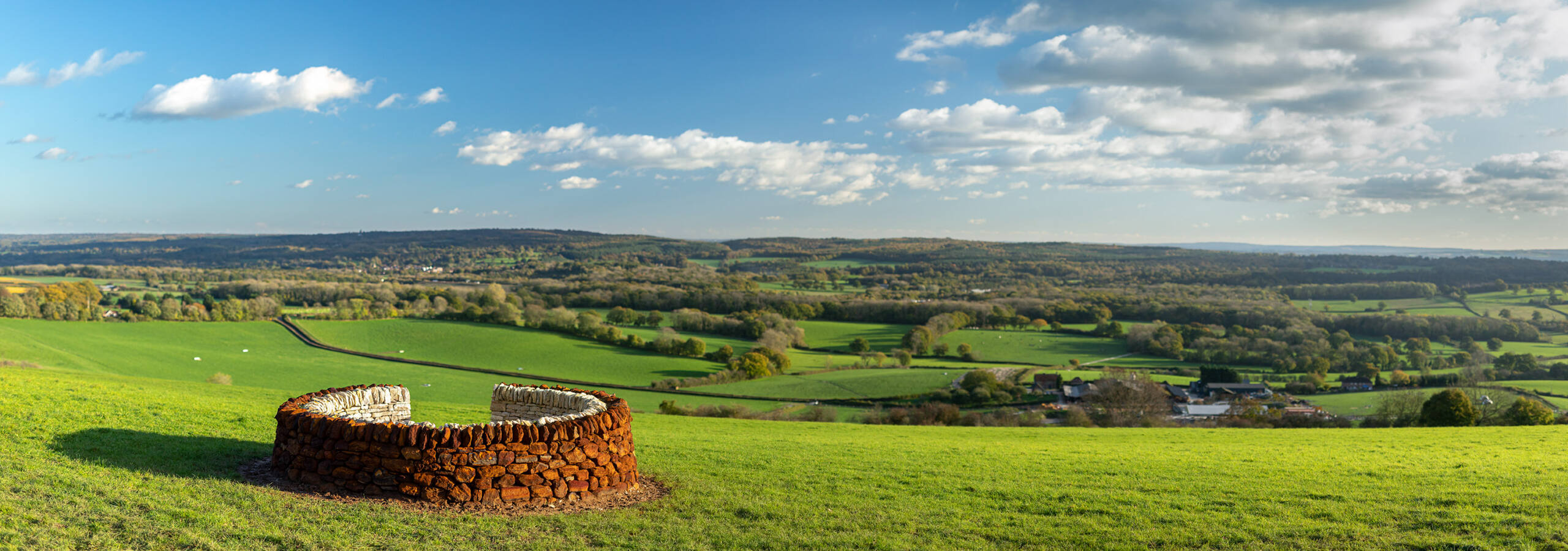 Coccolith - Surrey Hills Arts