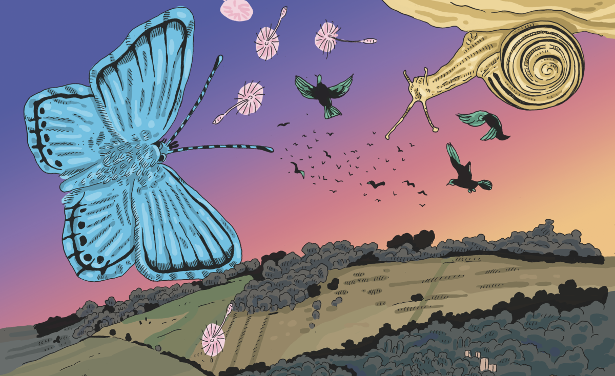 Nature Calling - Box Hill Trail Launch - Surrey Hills Arts